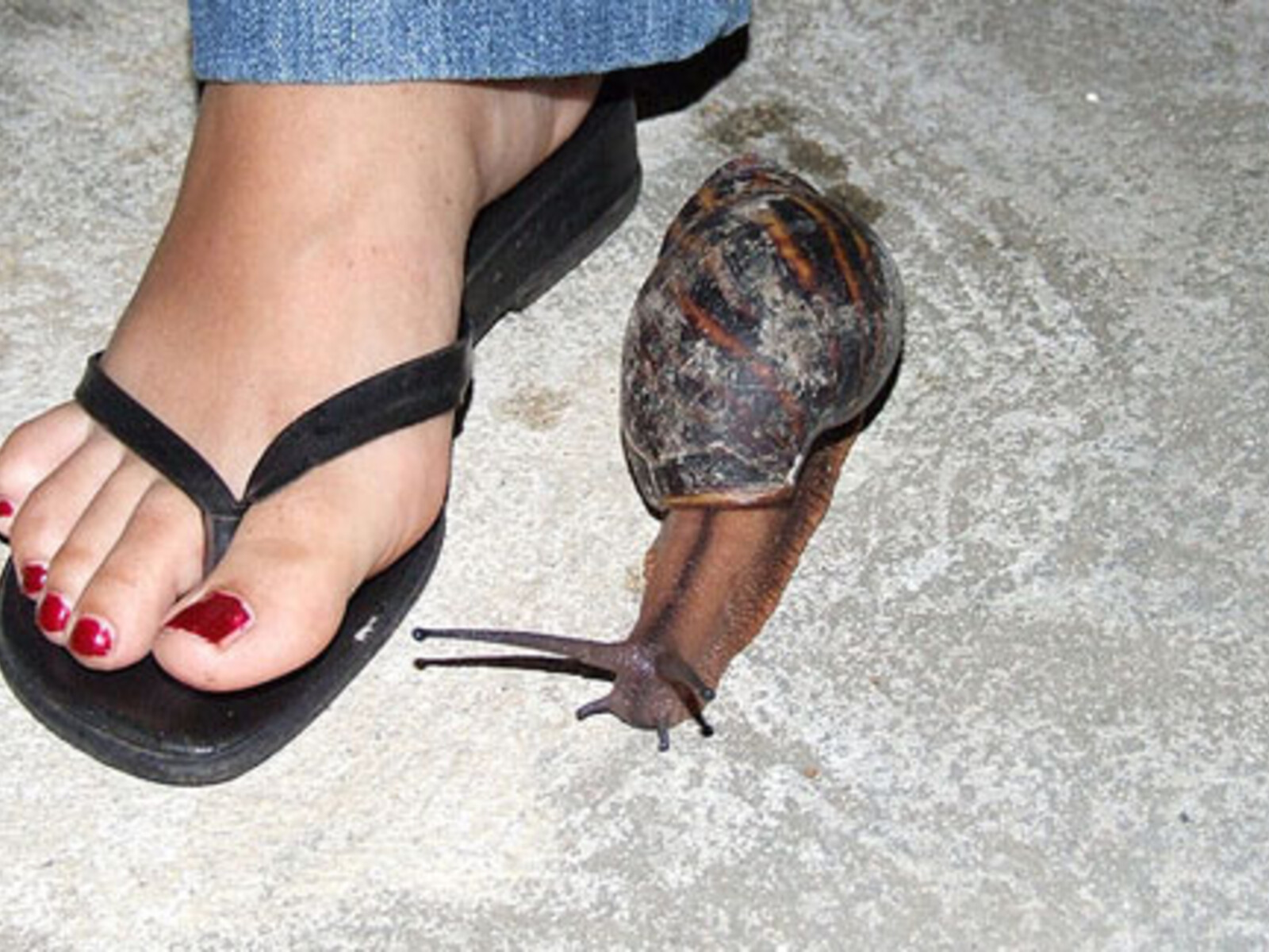 AG INFORMATION NETWORK OF THE WEST