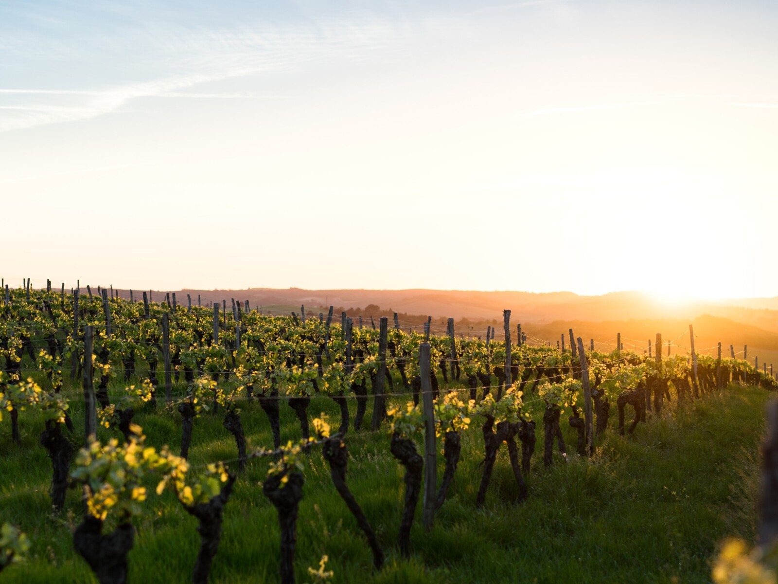 AG INFORMATION NETWORK OF THE WEST