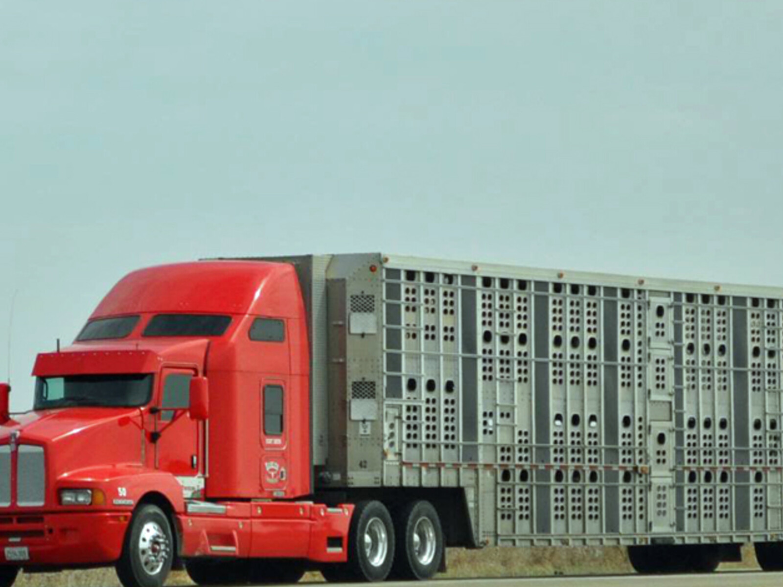 AG INFORMATION NETWORK OF THE WEST