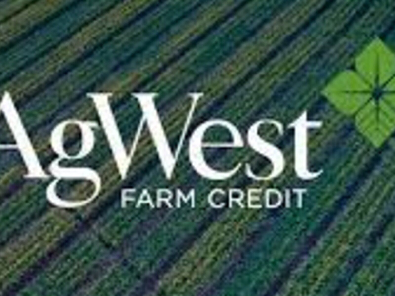 AG INFORMATION NETWORK OF THE WEST