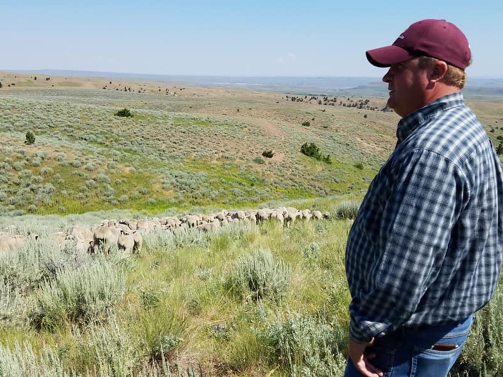 AG INFORMATION NETWORK OF THE WEST