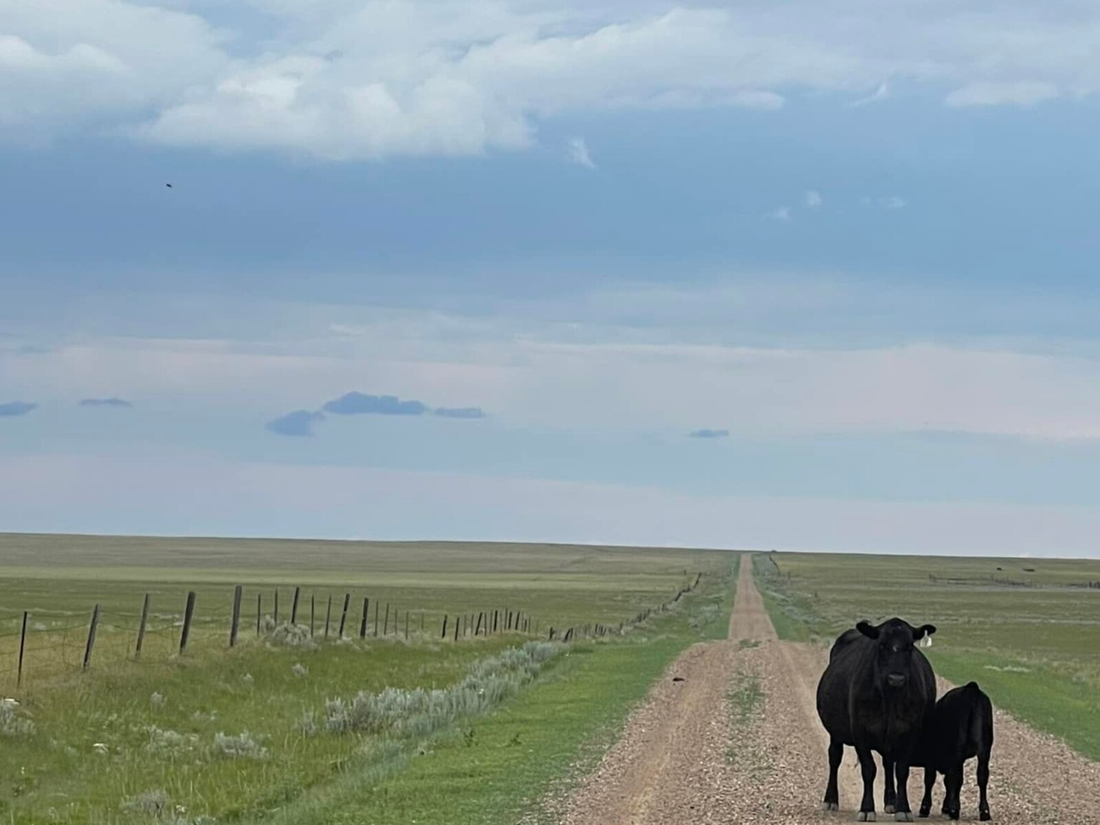 AG INFORMATION NETWORK OF THE WEST