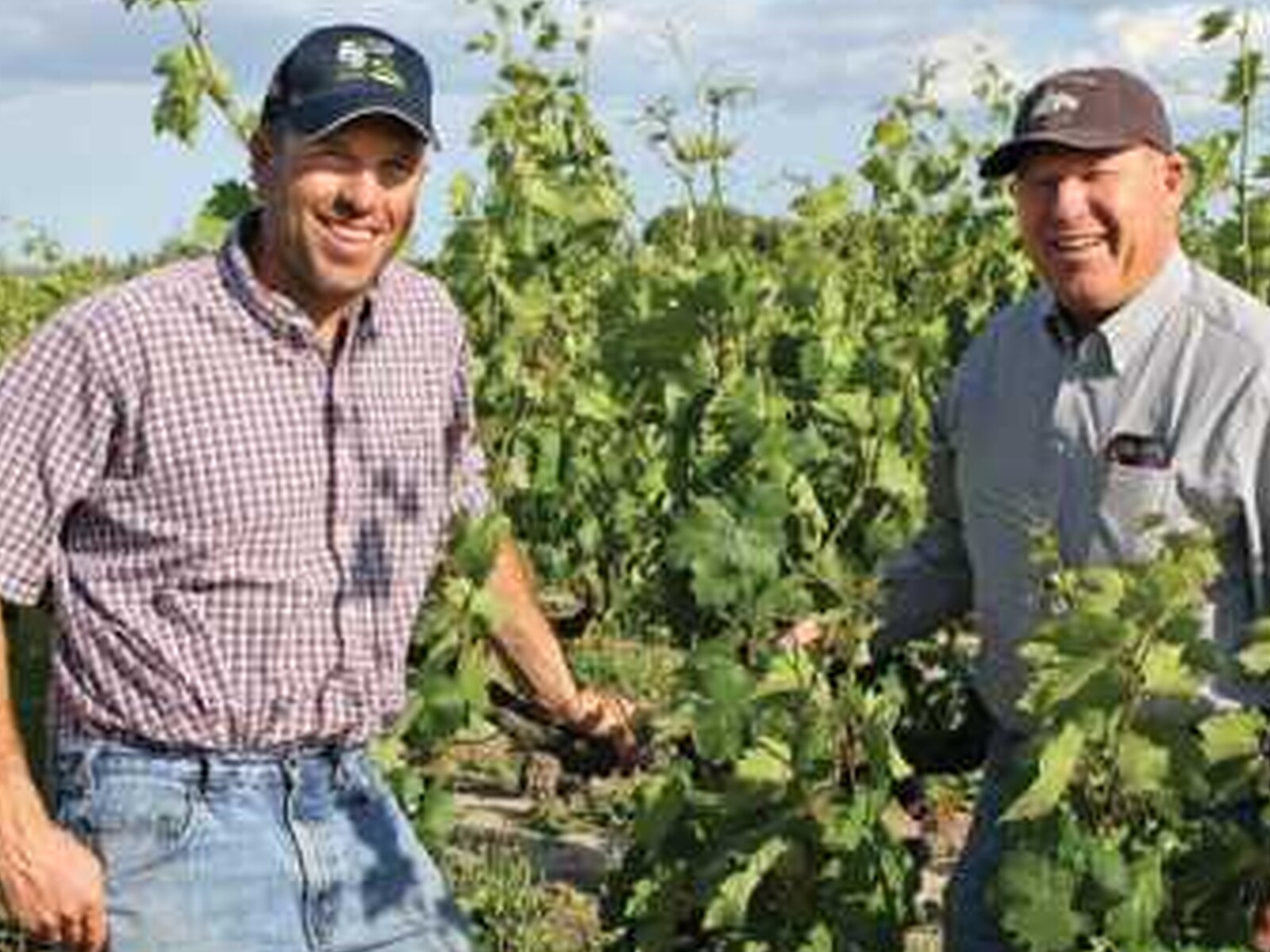 AG INFORMATION NETWORK OF THE WEST